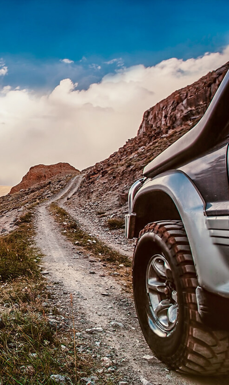 Bike Transportation Accessories – Elite